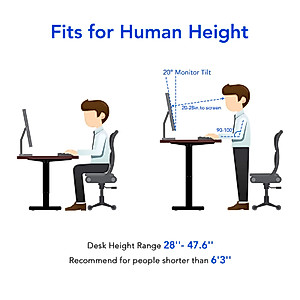 FLEXISPOT DIY Height Adjustable Standing Desk Frame Electric Sit Stand Desk Base, Home Office Stand up Desk Leg (White Frame Only)