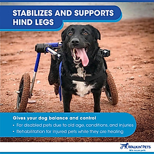 Walkin' Wheels Dog Wheelchair - for Med/Large Dogs 50-69 lbs - Veterinarian Approved - Dog Wheelchair for Back Legs