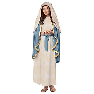 California Costumes Adult Virgin Mary Costume (Medium)