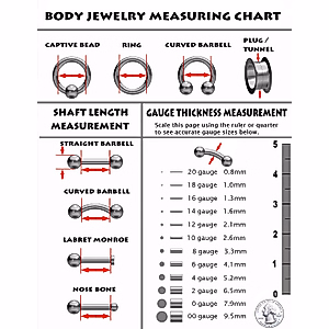 Amelia Fashion 16 Gauge Ornate Quatrefoil Opal Nose Hoop/Cartilage Ring Annealed 316L Surgical Steel (Steel & White Opal)