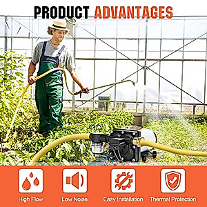 YOUNGTREE RV Fresh Water Pressure Pump 12V 5.5GPM 70PSI, On Demand Self Priming Water Pump 12Volt include 3/4" Garden Hose Adapters for Yacht Agricultural Irrigation Spraying Kitchen
