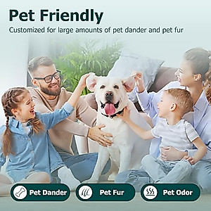 FLT4825 HEPA Filter B Replacement for Ge-rm Guardian Air Purifier AC4825 AC4300 AC4800 AC4900 AC4850, 2 True HEPA Filters & 8 Activated Carbon Pre-Filters