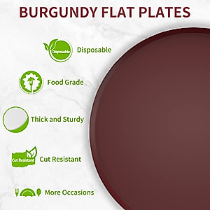 DYLIVeS 50 Count 9 inch Burgundy Paper Plates, Maroon Disposable Party Dessert Plates Flat Plates Round Food Serving Trays Platter, Birthday Party Supplies for Appetizers, Cake, Graduation, Holiday
