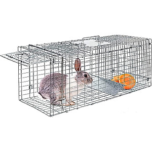 Jahy2Tech Live Animal Trap Cage 24"X8"X 7.5" Cat Trap Cage Foldable Steel Humane Catch and Release for Rabbit, Groundhog, Squirrel, Raccoon, Mole, Gopher, Cat