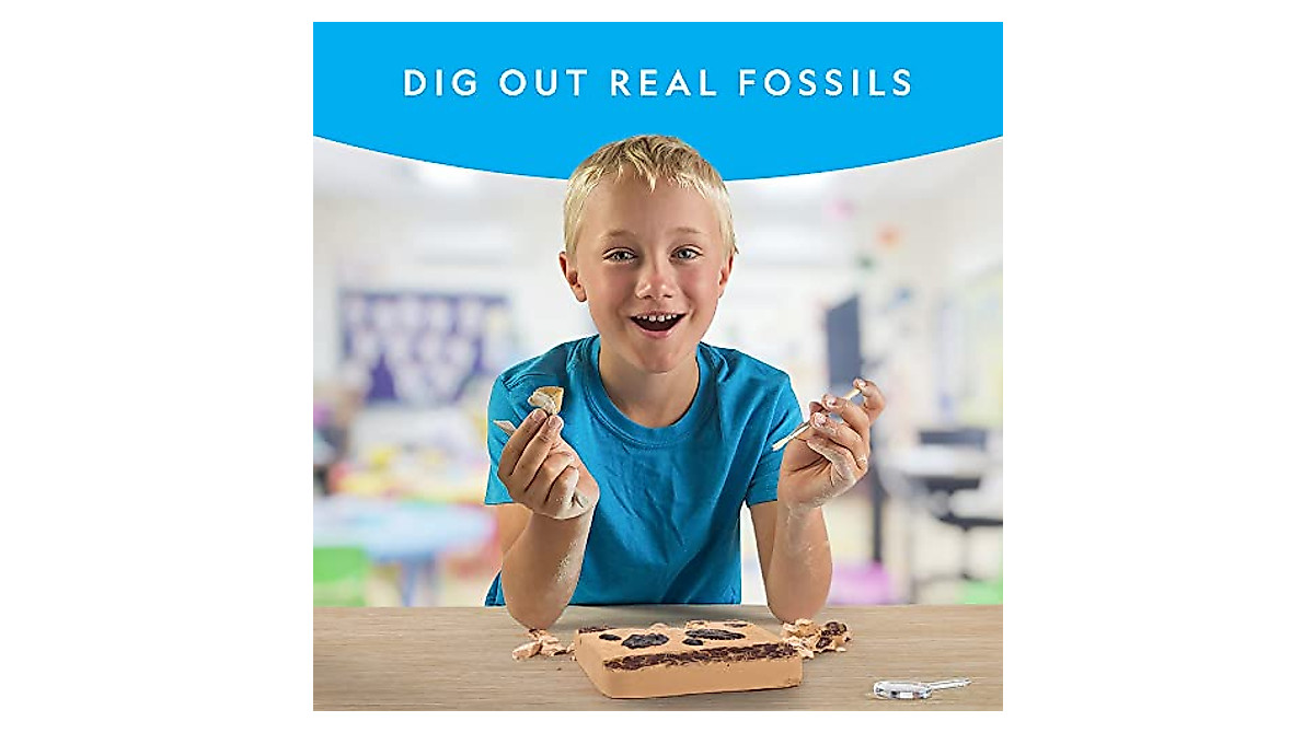 Mega Fossil Dig Kit by National Geographic - STEM Educational Toy for Kids