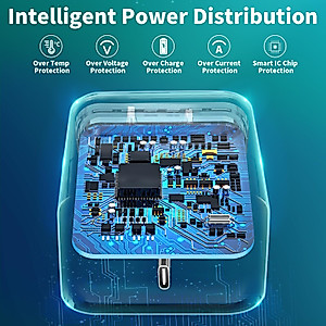 IIOZO iPhone 15 Pro Max Charger Fast Charging, 2 Pack PD 20W Type C Fast Charger Block with 2 Pack 6FT USB C to USB C Cable Compatible for iPhone 15/15 Plus/15 Pro Max/15 Pro Max, iPad Pro/Air/Mini