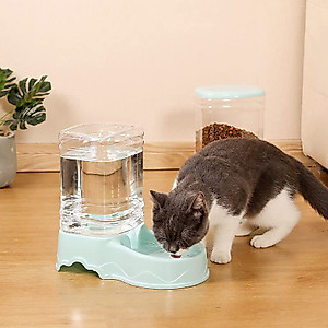 Automatic Cat Feeder Gravity Dog Feeder 1 Gallon Pet Feeder, Self-Dispensing Pet Feeder Bowl for Small and Medium Sized Pets Large Capacity (Green Food Feeder)