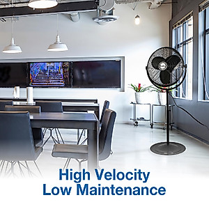 Air King 9420 20-Inch Industrial Grade Pedestal Fan