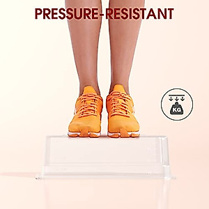 WantJoin 1/9 Size Plastic Clear Food Pans with Lids,6 Pack 2.5 Inch Restaurant Food Storage Containers with Handle,Stackable Polycarbonate Hotel Pans