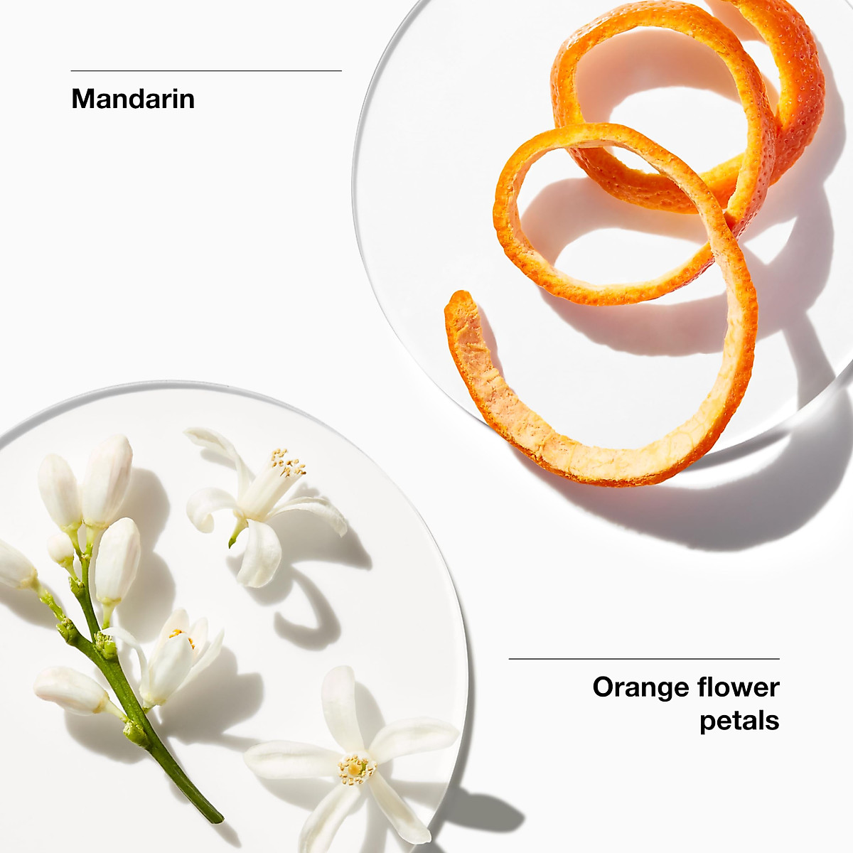 Clinique My Happy Fragrance Spray, Baby Bouquet | Notes of Bright Mandarin + Delicate Orange Flower, Mini Travel Size, 0.5 Fl Oz