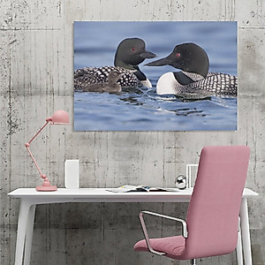 Common Loon Baby Bird Family Canvas Poster Bedroom Decor Sports Landscape Office Room Decor Gift,Canvas Poster Wall Art Decor Print Picture Paintings for Living Room Bedroom Decoration 08x12inch(20x30