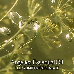 L'OCCITANE Intensive Repair Shampoo 16.9 fl. oz.: Silicone-Free Shampoo, Help Revitalize Dry, Damaged, Color-Treated Hair, Vegan