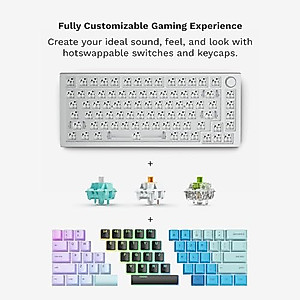Glorious Modular Mechanical Gaming Keyboard Barebones/Pre Built/Black and White (Barebones (White))