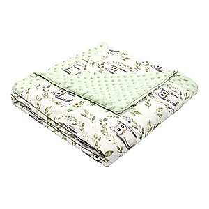Owl Leaf Wreath Printed Baby Receiving Blanket,29.5" x 47.2" Plush Blanket with Double Layer Dotted Backing, Cozy Minky Fleece Blanket Reversible Newborn Boys Girls Nursery Stroller Crib Baby Blanket