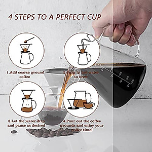 Pour Over Coffee Maker Set, Drip Coffee Maker Pour Over with 17oz Borosilicate Glass Carafe and Double Layer 304 Stainless Steel Filter, Pour Over Coffee Dripper Perfect for Coffee Lovers.