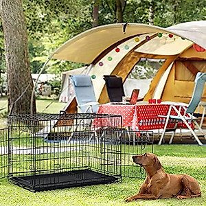 Pet Dog Crate, 48 Inches Large Dog Cage Double Door Folding Crate Metal Wire Dog Kennel with Divider Panel Leak-Proof Plastic Pan, Indoor Outdoor Basic Pet Crates for Medium Large Breed Dog XL XXL