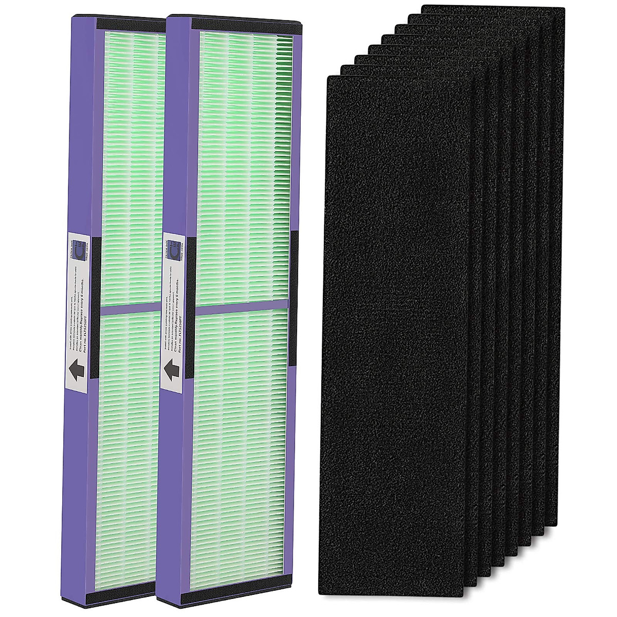 isinlive 2 Pack FLT5000 True HEPA Filter C Replacement with Pet Pure Treatment, and 8 Pack Activated Carbon Pre-Filters for Ger Guardian Air Purifier FLT5111 AC5000 AC5000E AC5250PT AC5350B AC5350BCA