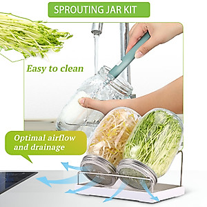 Sprouting Jar Kit 2Pcs Large Wide Mouth Mason Jars With Screen Sprout Lid,Sprouting Jar Stand,Tray,Blackout Sleeves,Brush-Seed Sprouting Kit For Growing Mung beans,Broccoli And So On