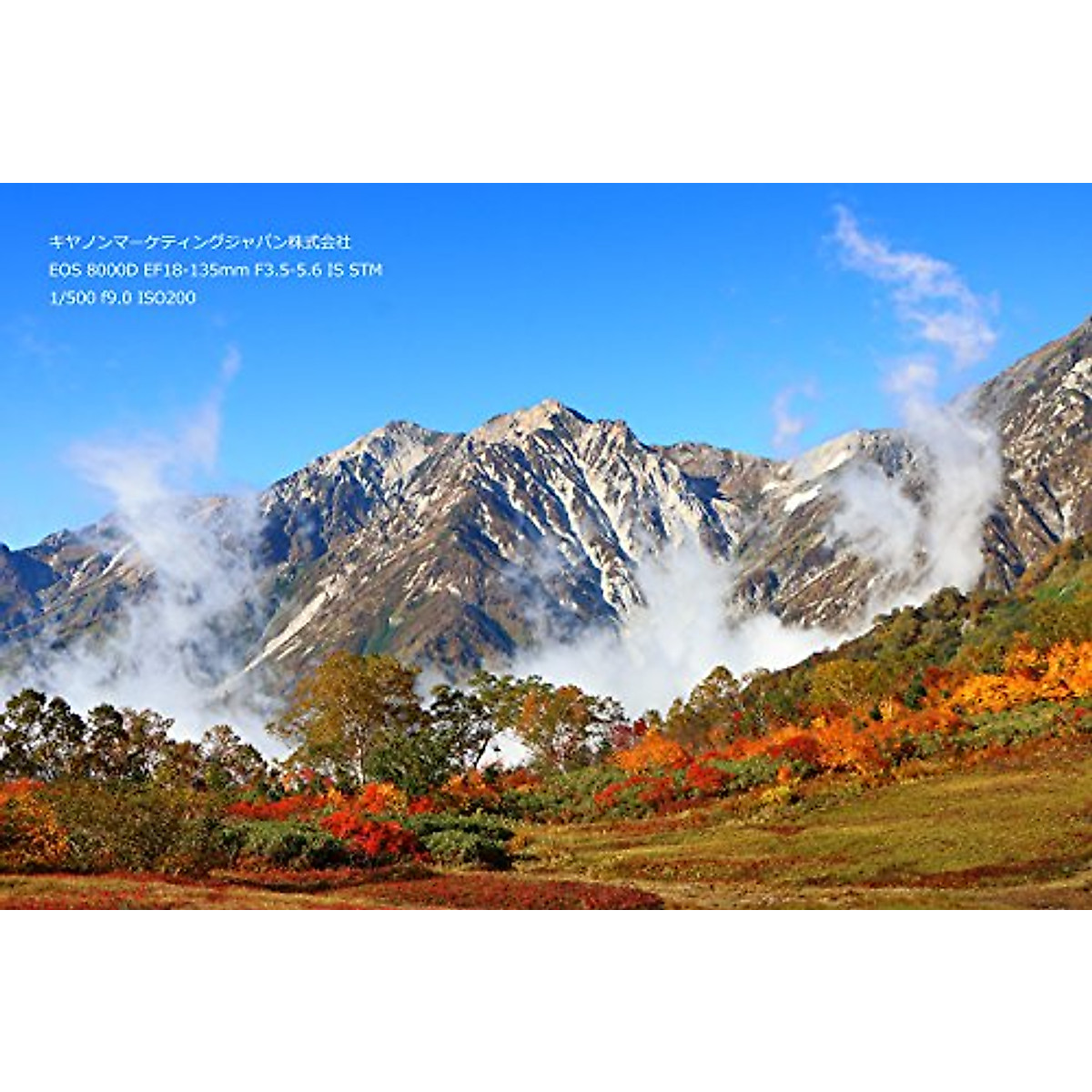 Canon DSLR camera EOS 8000D body 24.2 million pixels EOS8000D [International Version, No Warranty]