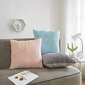 pop shop Wide Wale Royal Plush Dec Pillow, 18"x18", Blush