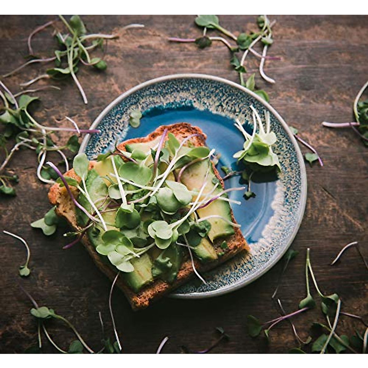 Superfood Microgreen Seeds Mix | for Microgreens Growing Trays | 1 LB | Heirloom Non GMO Purple Kohlrabi, Collard, Radish, Turnip & Broccoli Sprouts Seeds | Rainbow Heirloom Seed Co.