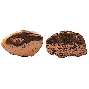 Starborn Copper Nugget with Sterling Silver Post Earrings