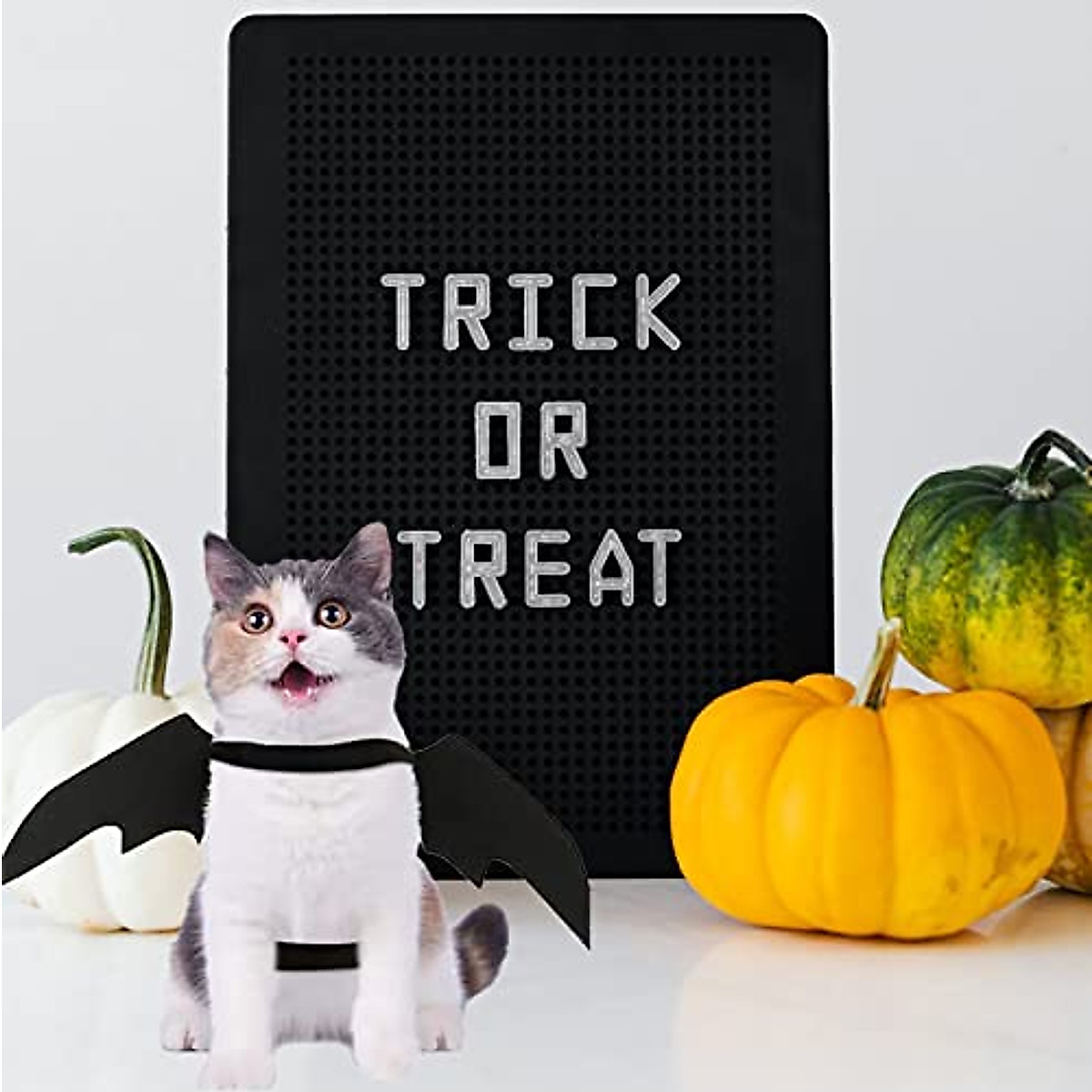 Pet Cat Clothes Cute Bat Wings for Halloween Party, Cat Costume for Kitten, Stitch Dog Costume for Small Dogs Dress Up Accessories