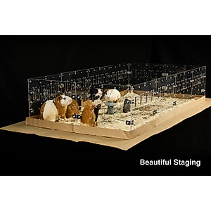 GuineaLoft™ 4ft x 2ft Cage Mat (1-Month Supply) - Works Like Placemats, Enhances Cage Look, Facilitates Bedding Disposal, Catches Small Fallouts, Protects Table and Floor - Exclusive by Guinea Loft