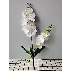 Suandsu 1 Bouquet Artificial Phalaenopsis Fake Butterfly Orchid Home Hotel Office Garden Craft Art Decor 19'' High White