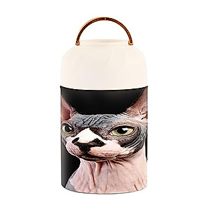 CUPADA Vivid Hairless Cat Food Jar, Cute Kitten Insulated Hot Food Jars Vacuum 17OZ with Folding Spoon for Work Trip Picnic Camping