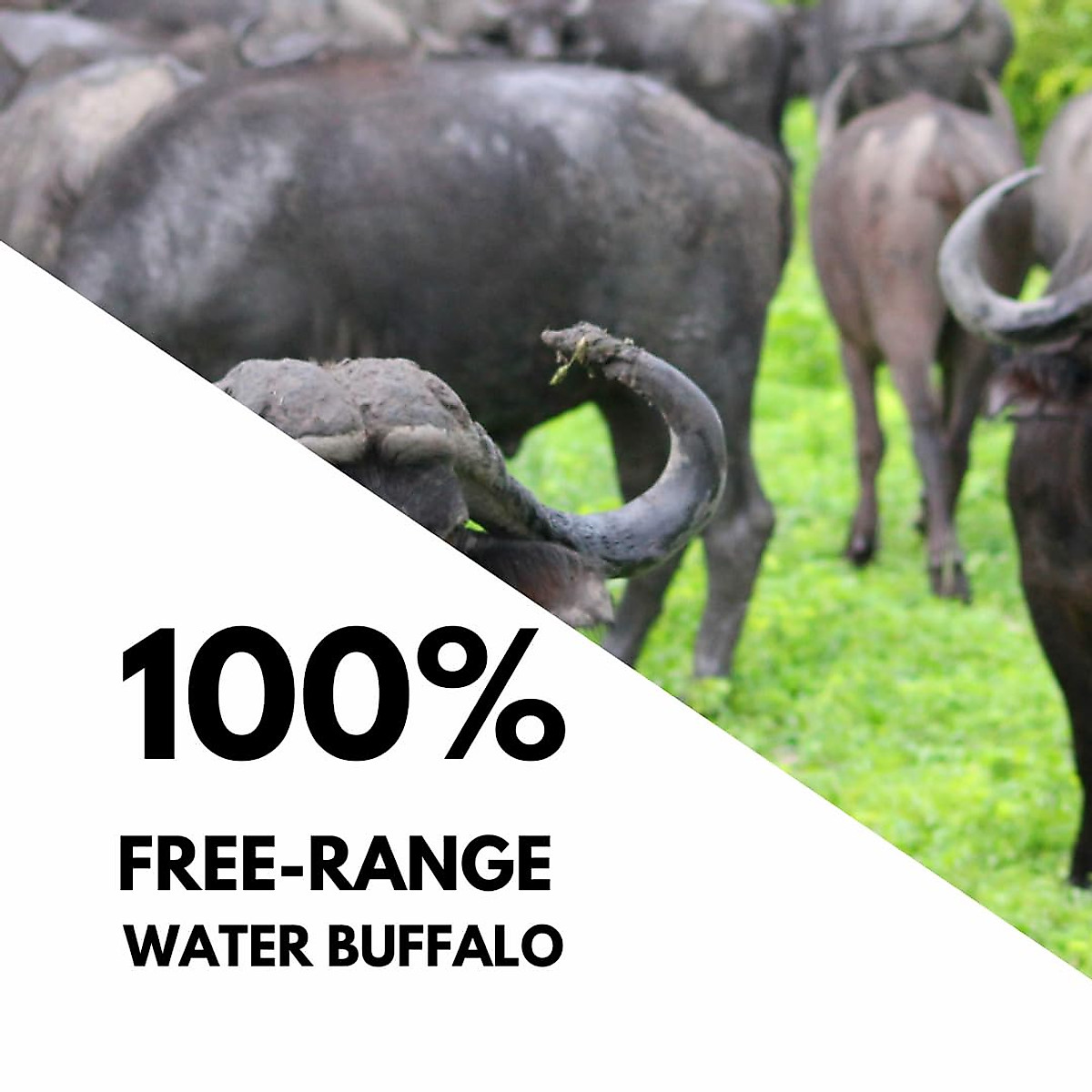 WhiteTail Naturals - Water Buffalo Horns for Dogs (Monster XX-L) All-Natural Dog Bone - Long Lasting Chew Toy for Aggressive Chewers and Teething Puppies