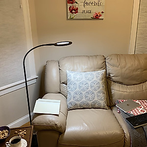 Bright Floor Lamp for Office, Reading and Bedrooms. LED Floor Lamp for Lash Light for Eyelash Extensions, Makeup & Nail Spa. Gooseneck Standing Lamp (Black)