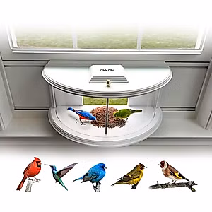 Skybox Window Bird Feeder Inside House - 180 Clear View of Birds Feeding - Bird Box Fits Windows 30-41 inches - Including Rain Cover Slide
