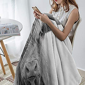 Clouday Flannel Fleece Bed Blanket Soft Throw-Blankets for Sleep,Grey Animal Highland Cow Pattern,Lightweight Baby Blankets for Bedroom Living Room Sofa Couch,49x59 Inch