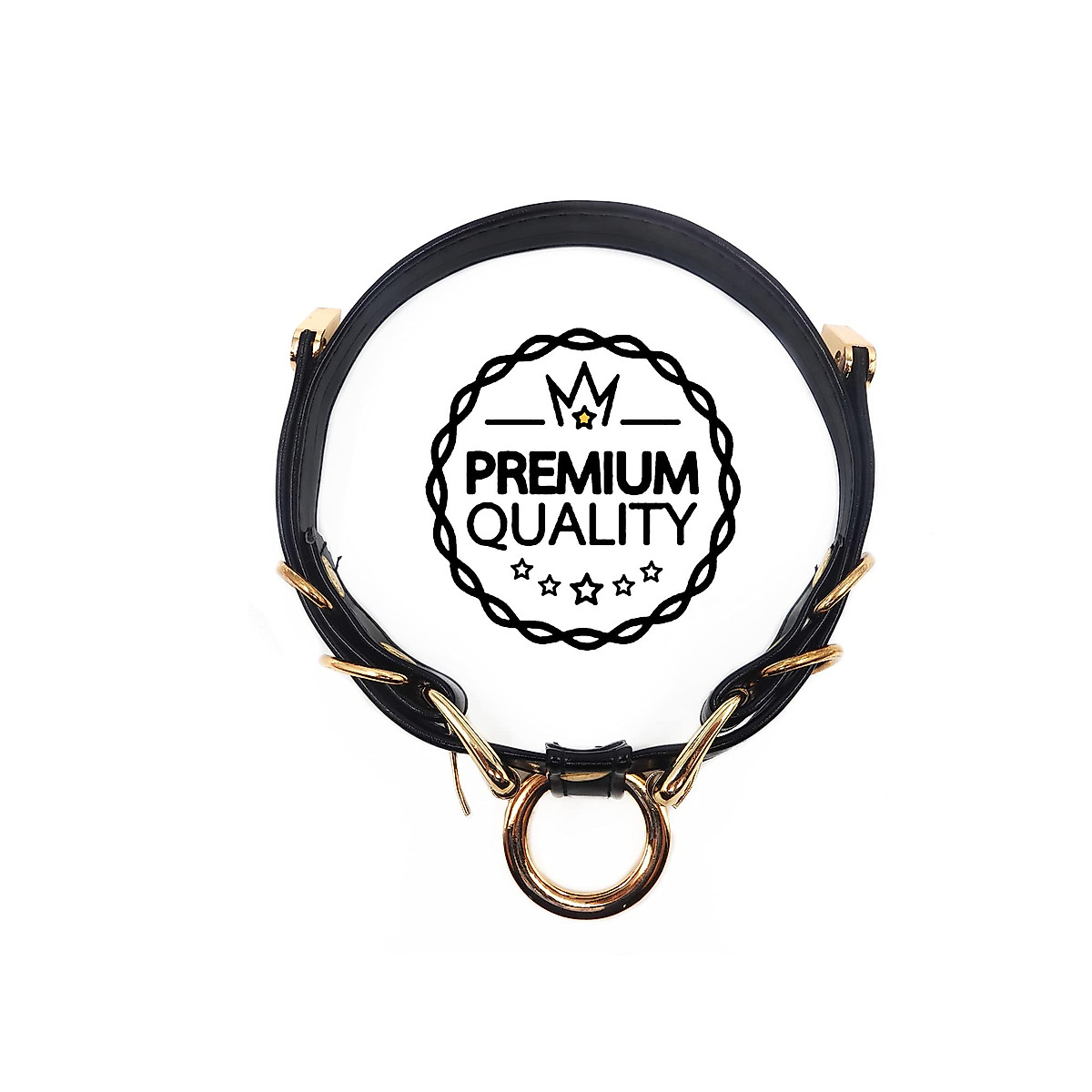 ADEMISHIA Handmade Punk Gold O-Ring Leather Choker Necklaces With Buckle Fastening Adjustable Collar For Womens