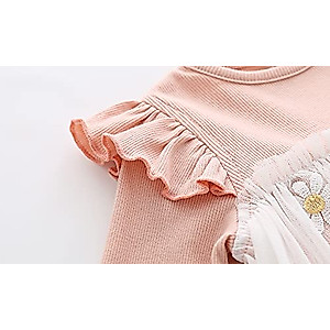 Toddler Baby Girls Dresses Infant Flower Embroidery Tulle Dresses Long Sleeve Newbron Baby Girls Clothes Outfit, 12-18M