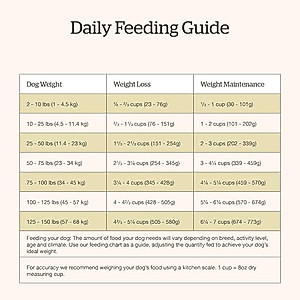 Now Fresh Good Gravy, Bone Broth Coated Kibble, Dry Dog Food, Salmon Adult Recipe with Grains, All Breed Size, 22 lb Bag