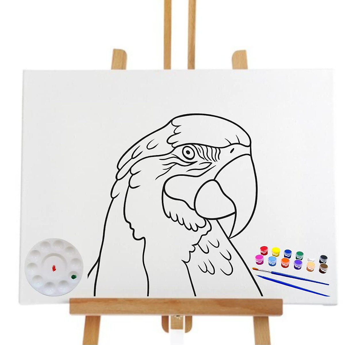 Essenburg Pre Drawn Canvas Parrott Paint Kit | Adult & Teen Sip and Paint Party Favor | DIY Date Night Couple Activity (S 8x10 CANVAS ONLY)