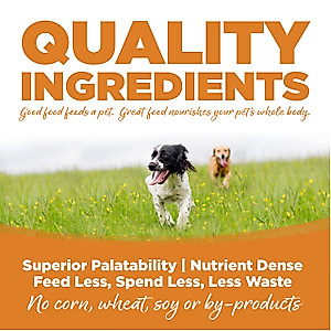 NutriSource Adult Dry Dog Food, Lamb Meal and Rice, 26LB