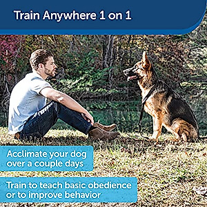 PetSafe Collarless Remote Trainer - Handheld Ultrasonic & Tone Dog Training - Correct Behavior such as Barking, Digging, Jumping - Similar to an Electronic Dog Whistle, No Collar Required