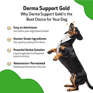 Pet Wellbeing Derma Support Gold for Dogs - Normal Skin Yeast Balance, Occasional Itching, Healthy Odor, Baikal Skullcap, Phellodendron - Veterinarian-Formulated Herbal Supplement 2 oz (59 ml)