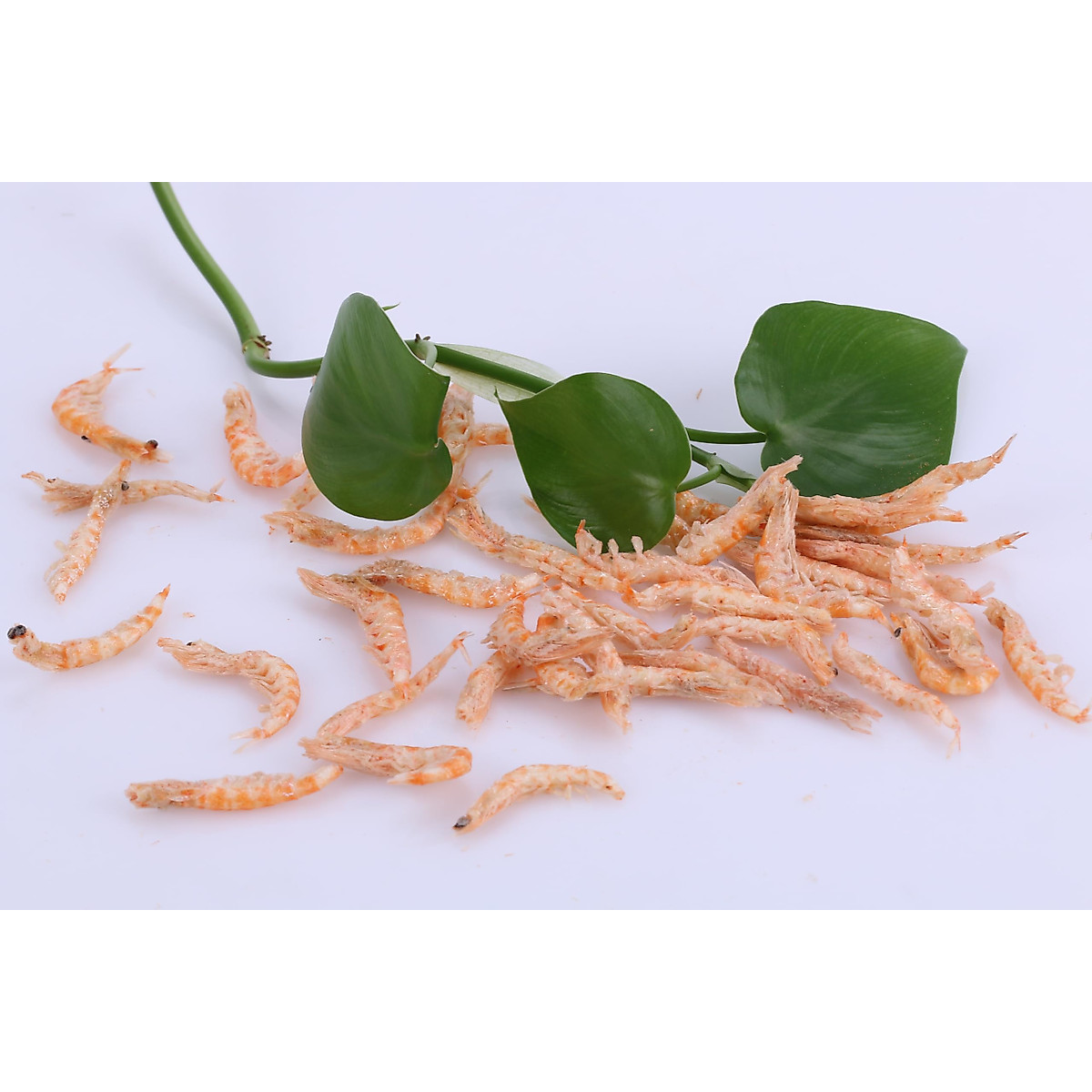 toyuto Premium Freeze-Dried Krill & Shrimp Mix Ideal for Arowana, Koi, Tropical Cichlids, and Turtles High Protein Floating Aquarium Food (1000ml)