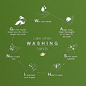 Dove Refreshing Body Wash Revitalizes and Refreshes Skin Cucumber and Green Tea Cleanser That Effectively Washes Away Bacteria While Nourishing Your Skin, 22 Fl Oz (Pack of 4)