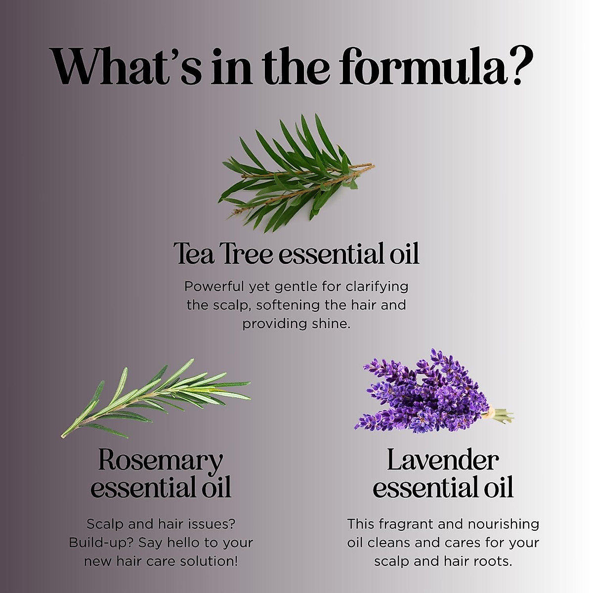 Tea Tree Shampoo for Oily Hair - Paraben and Sulfate Free Clarifying Shampoo for Build Up and Dry Scalp with Tea Tree Oil for Hair - Purifying Aromatherapy Tea Tree Oil Shampoo for Greasy Hair