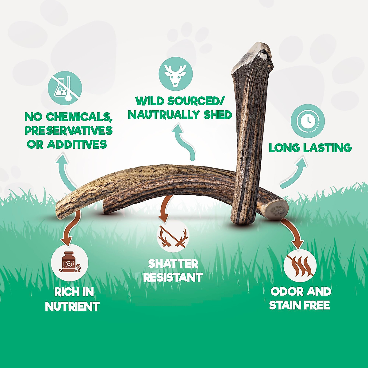 Jack & Pup Elk Antler Chew for Large Dogs | Long Lasting, Rawhide-Free Dog Chews | Single Ingredient, Nutrient-Rich Dog Toy