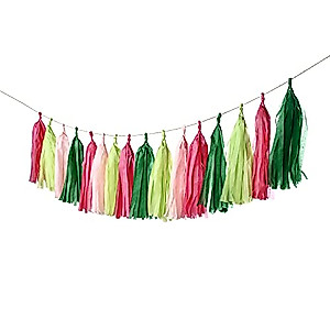 GUZON Pack of 20 Watermelon Party Tassel Garland DIY Kit Balloon Tail Tassels Melon Birthday Summer Party Decorations