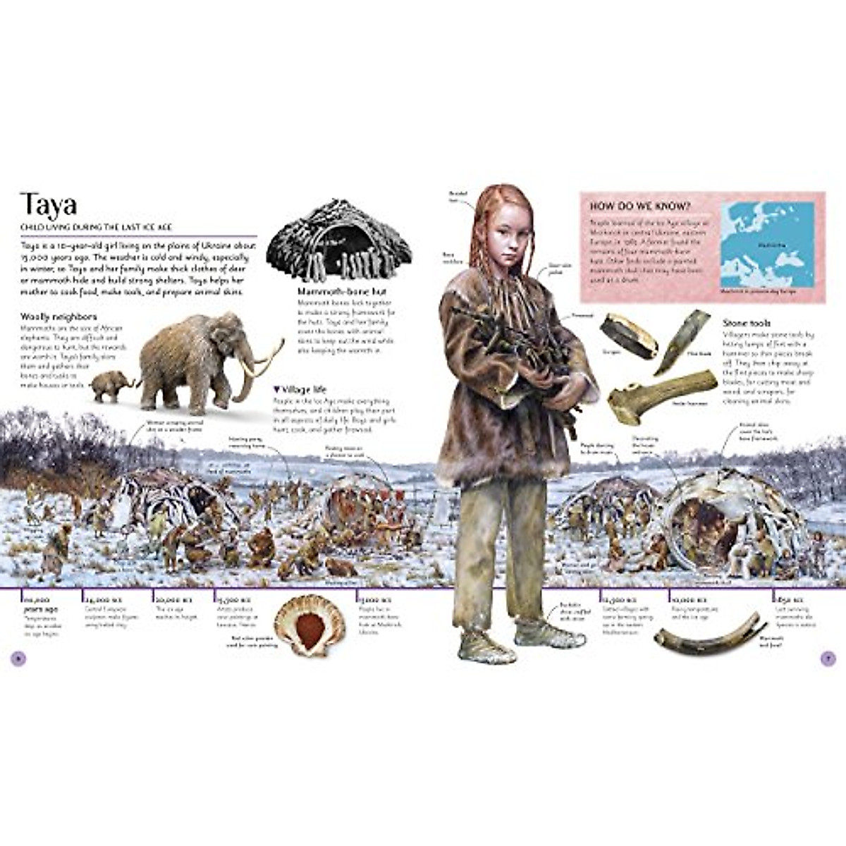 A Child Through Time: The Book of Children's History (DK Panorama)