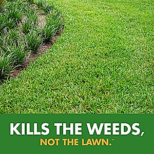 Spectracide Weed Stop For Lawns For St. Augustine & Centipede Lawns Concentrate, Ready-to-Spray, 32-Ounce, 6-Pack, Clear