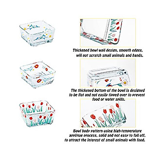 Acsist Hamster Food Bowl Small Animals Glass Water Bowl Food Dish Feeding Bowls for Guinea Pigs Gerbil Mouse Rat Chinchilla Hedgehog Sugar Glider(2 Pack,Red Daisy)