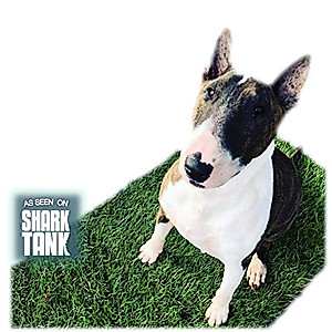 Fresh Patch XL - Real Grass Pee and Potty Training Pad for Large Dogs and Multi-Dog Households - Indoor and Outdoor Use - 48 Inches x 24 Inches